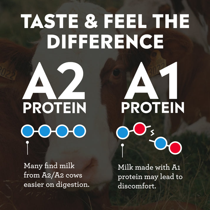 Whole Milk, Ultra-Filtered: 14g A2 Protein, 50% Less Sugar – Pioneer ...